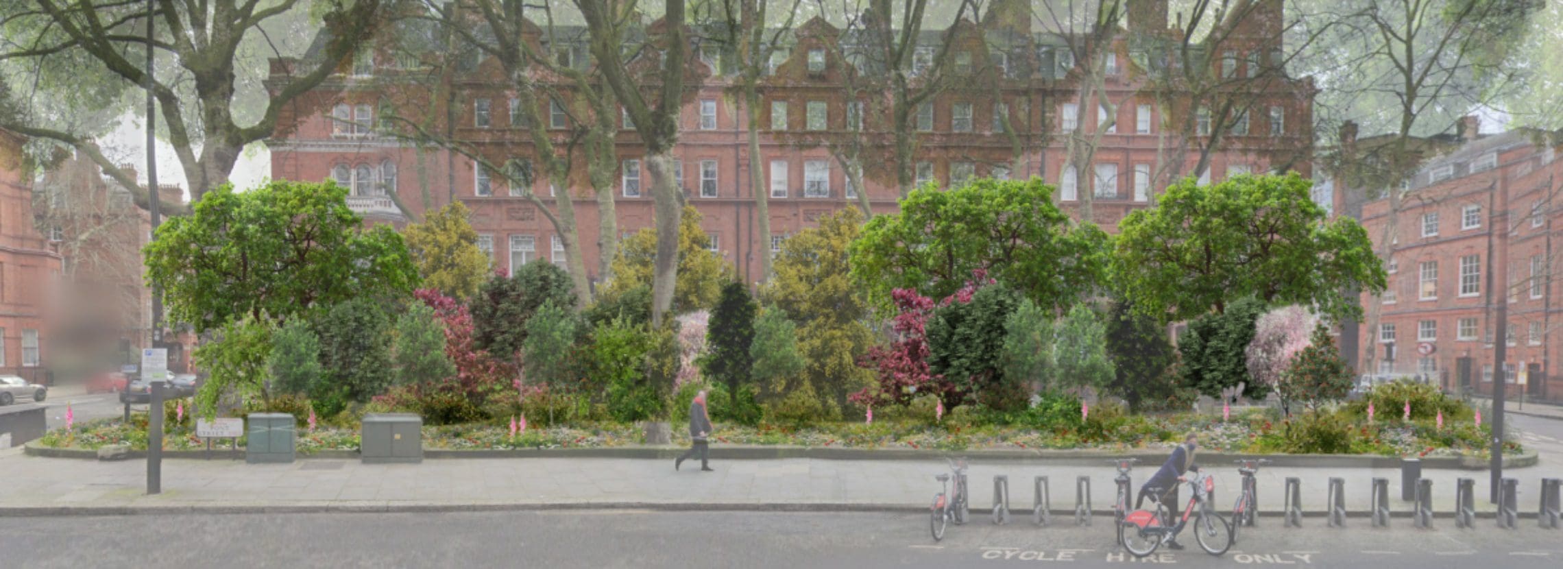 Chelsea unveils central London's first 'pocket forest' – Luxury London