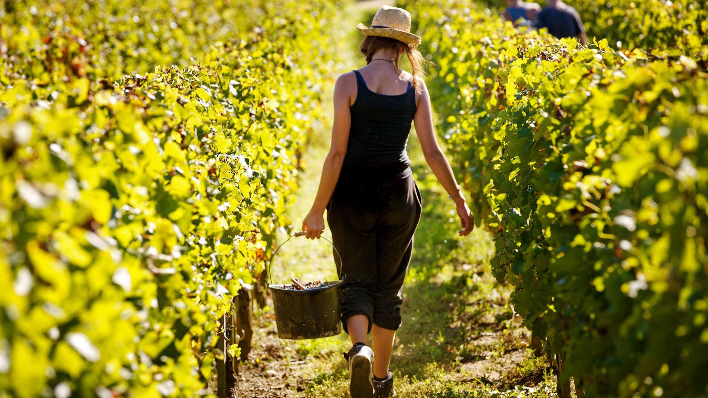 Raising a Glass to the Women in Wine – Luxury London