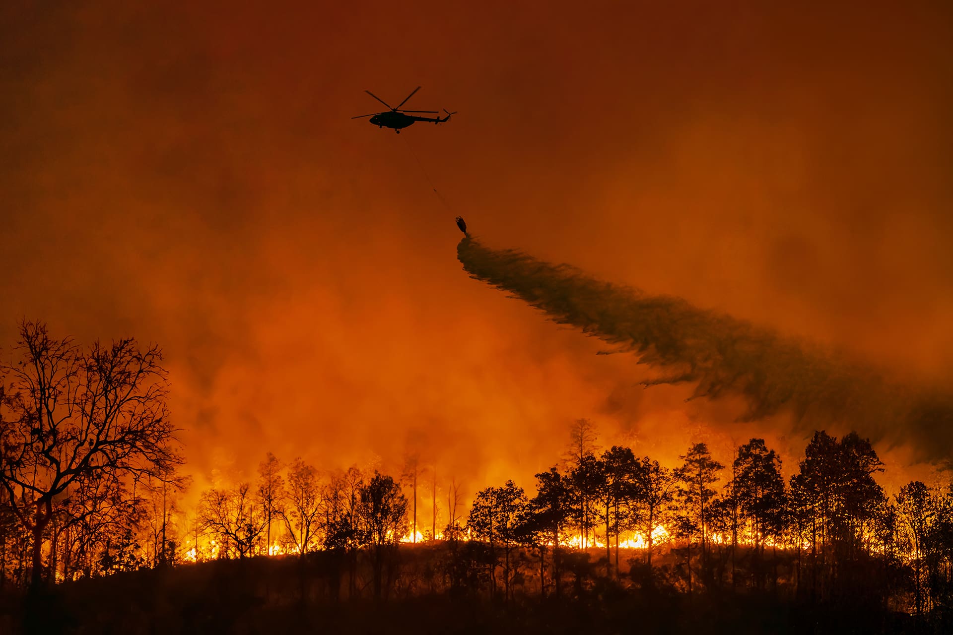 From the ashes: How LA is enticing back visitors after the wildfires